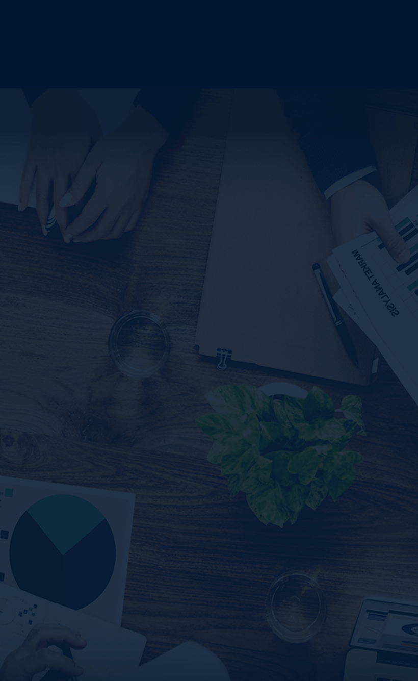About | Echo Marketing